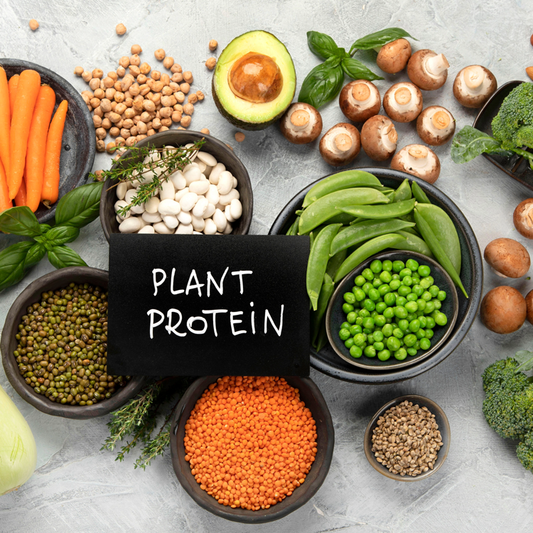 Plant Protein – Roastery Coast
